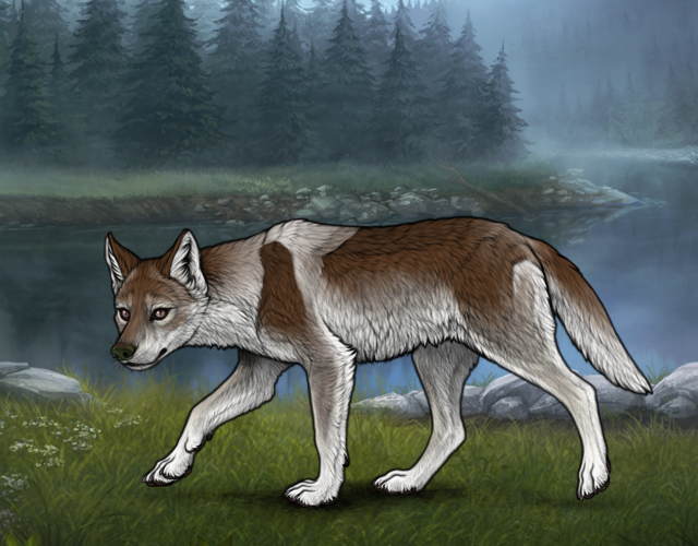 G5 T2 Sarder Changeling |:| Wolvden