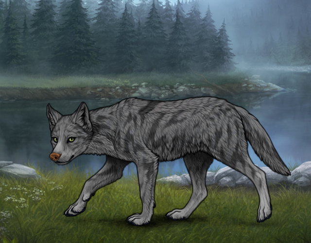 New Puppy |:| Wolvden