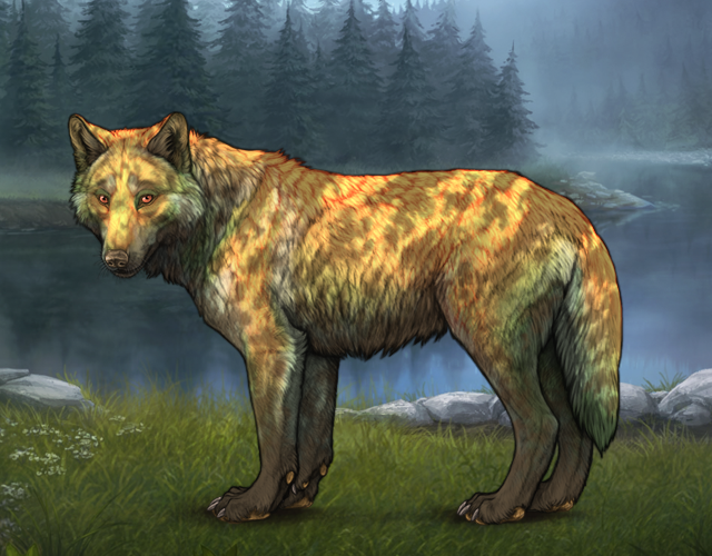 T* Wisp Female |:| Wolvden