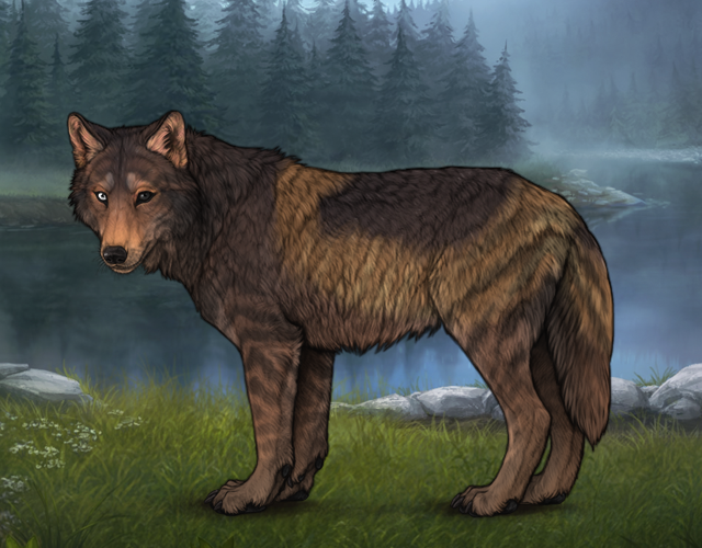 Beautiful Liar |:| Wolvden