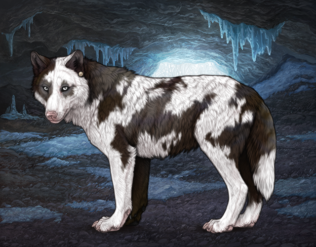 Brown Tourmaline |:| Wolvden