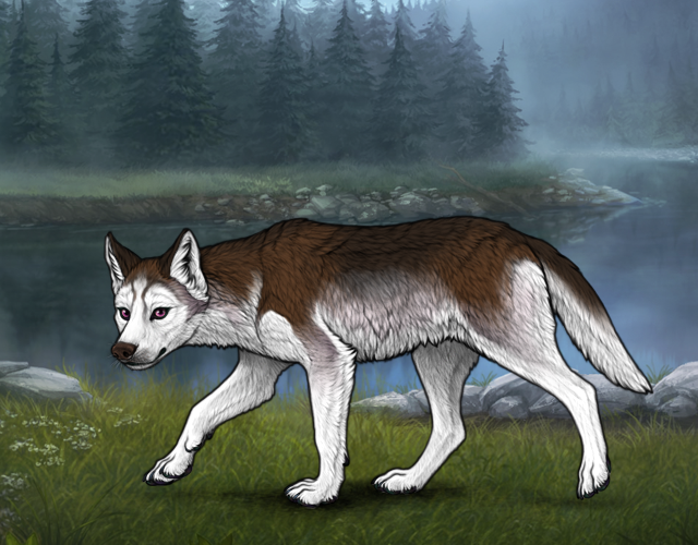 Chased Wolf Spotting - Revamped |:| Wolvden