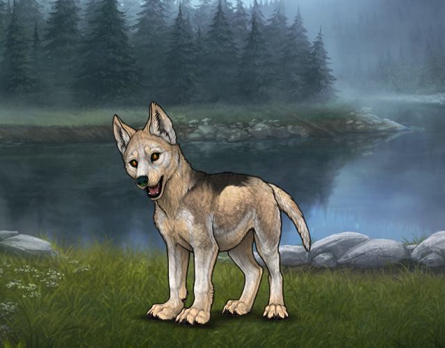 New Befriended Wolf |:| Wolvden