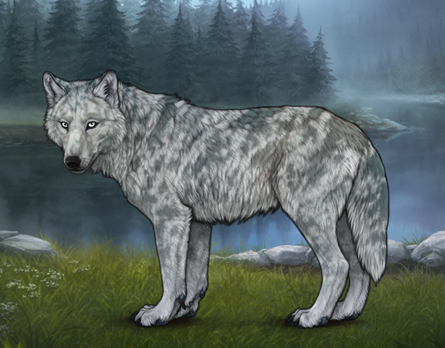 merle meg g23 |:| Wolvden