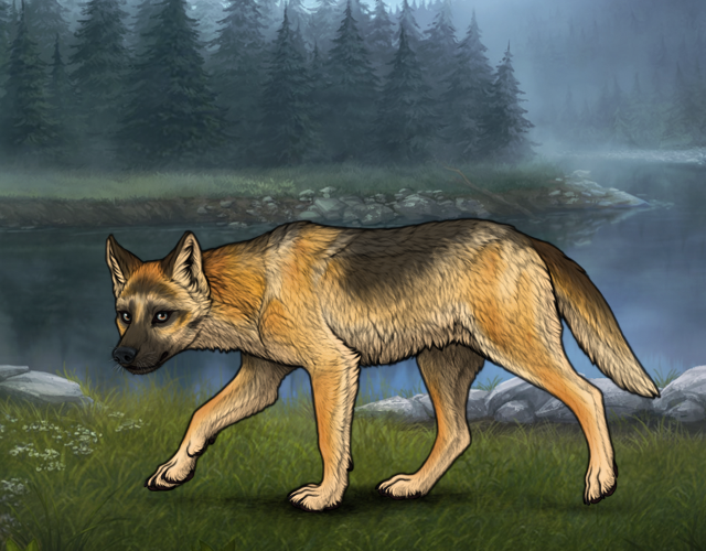 Female 1 |:| Wolvden