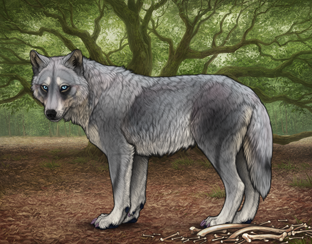 G2 Grulla, Keep |:| Wolvden