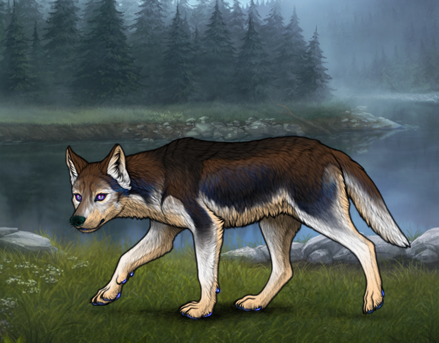 m pecan II 5m ꒰ⁱⁱⁱ꒱ৎ |:| Wolvden