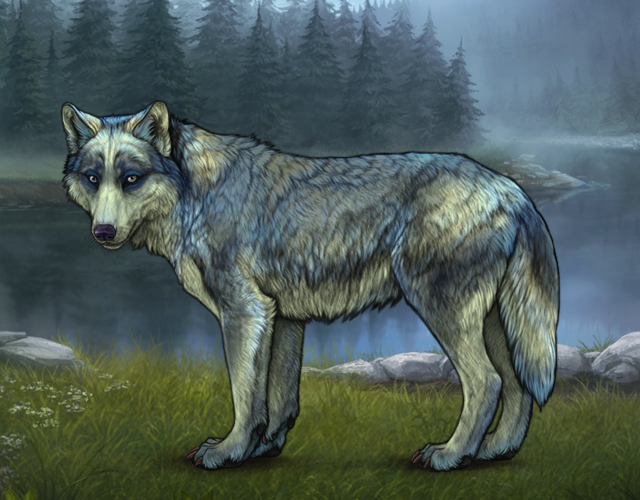 reserved |:| Wolvden