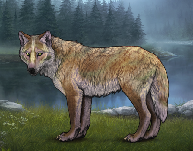 NBW Chased BADGER 7M |:| Wolvden