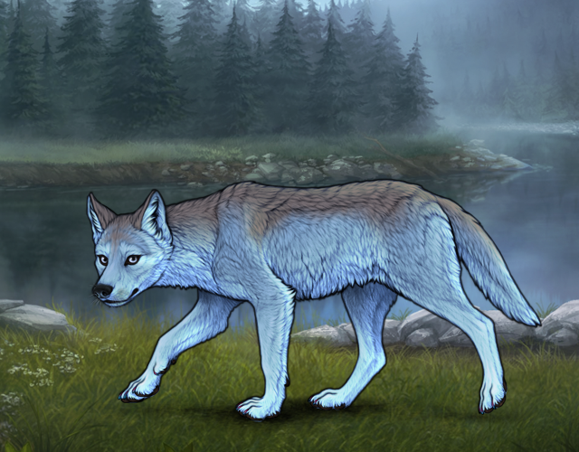 Blue Jean |:| Wolvden