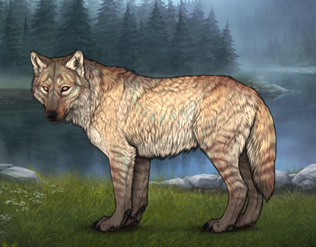 New Runt Puppy |:| Wolvden