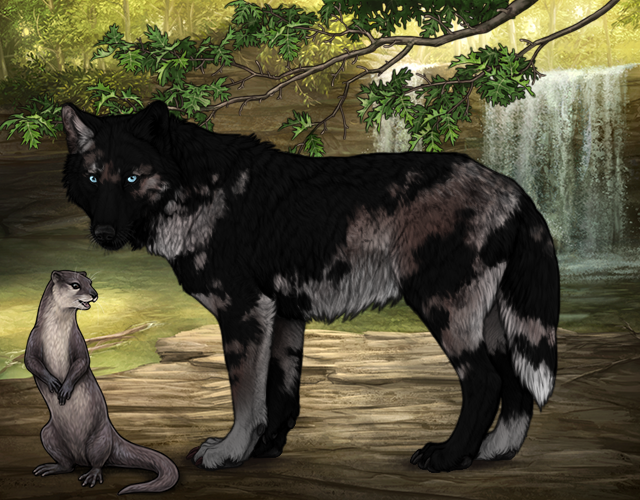 What Wolf Would You Steal? |:| Wolvden