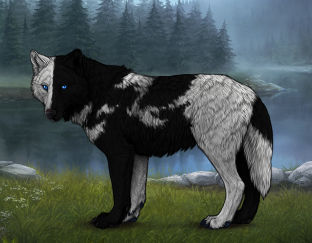 G3 split |:| Wolvden