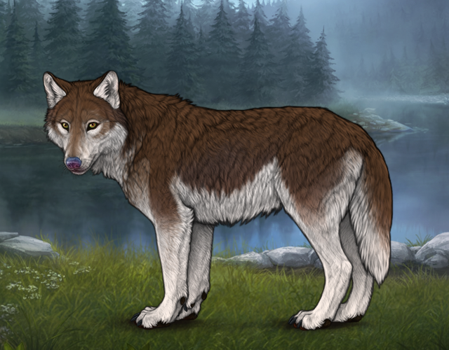 g3 moj rnc |:| Wolvden