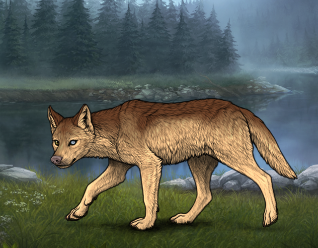 Liver 3m X |:| Wolvden