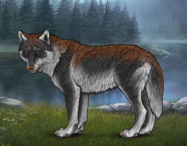 !Night Light |:| Wolvden