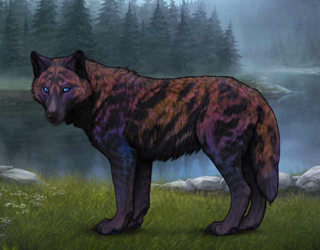 Hydrangea |:| Wolvden