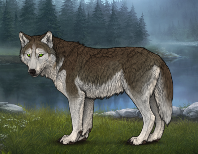 New Runt Puppy |:| Wolvden