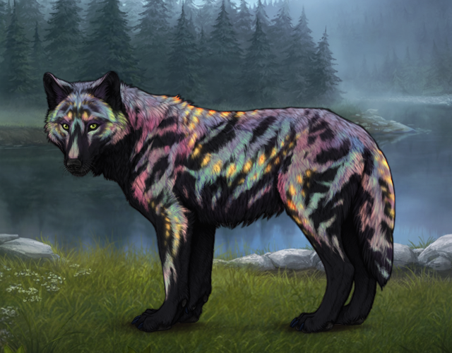 G2 Turquoise |:| Wolvden