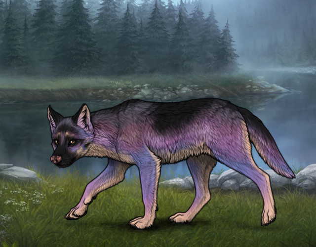 New Runt Puppy |:| Wolvden