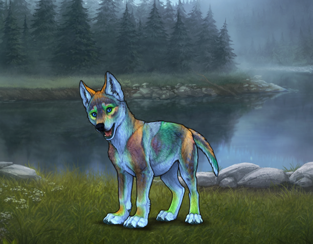 🧸 F Tll 6M G2 |:| Wolvden