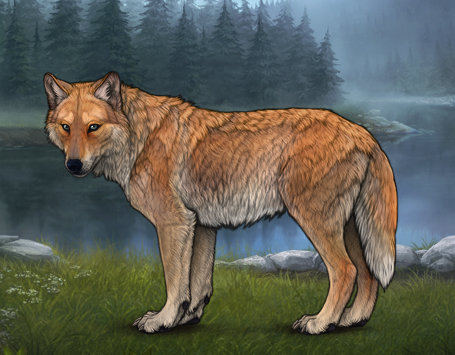 G3 Wulf 3M SB |:| Wolvden