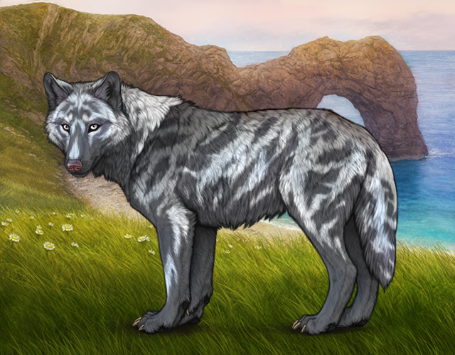 whitefrost |:| Wolvden