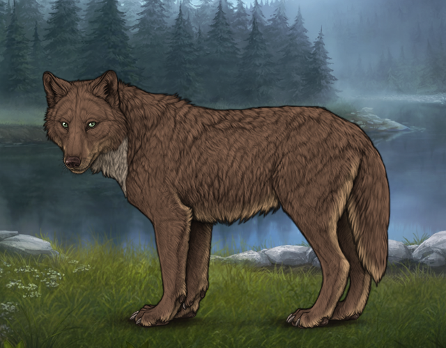 New Befriended Wolf |:| Wolvden