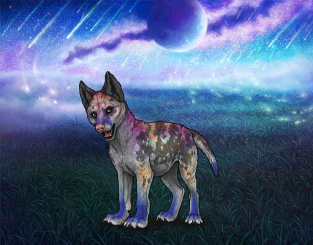 New Puppy |:| Wolvden