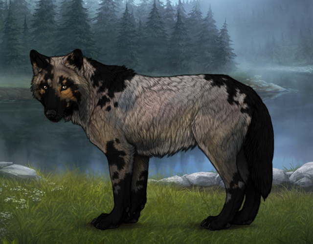 G2 8M Pointed |:| Wolvden