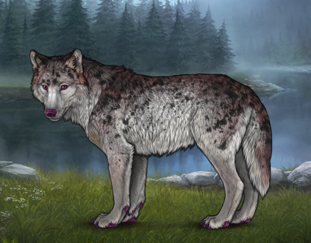 8M Albino Carrier G2 |:| Wolvden