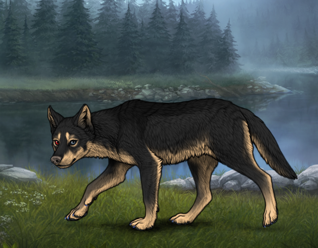 tbn ᴺᴮᵂ |:| Wolvden