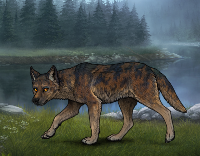 735 SC or 2 GC |:| Wolvden