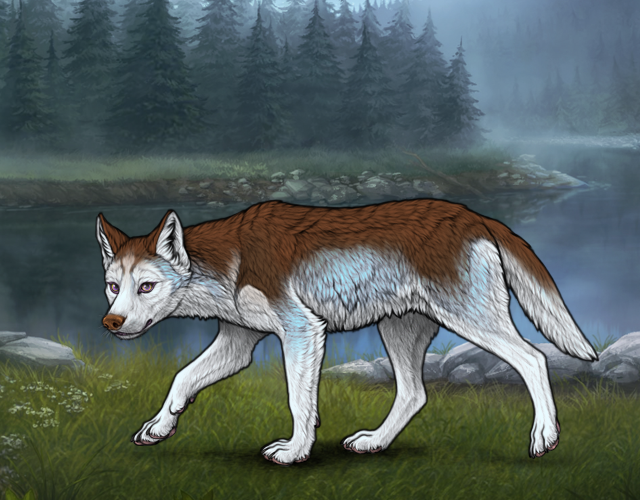 Chased Wolf Spotting - Revamped |:| Wolvden
