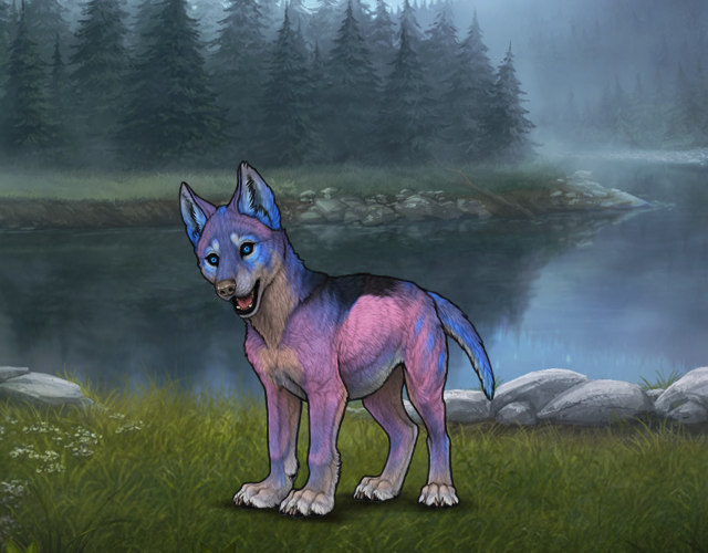 New Befriended Wolf |:| Wolvden