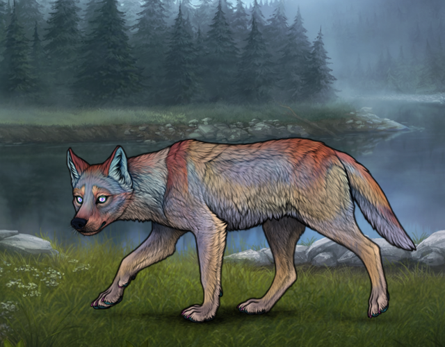 G4 Sandy Dream 6m |:| Wolvden