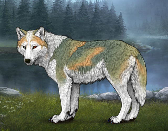 Female 1 |:| Wolvden