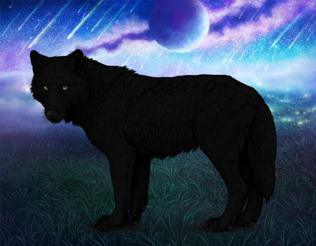 Nocturne ☾ Gray ☾ G5 |:| Wolvden