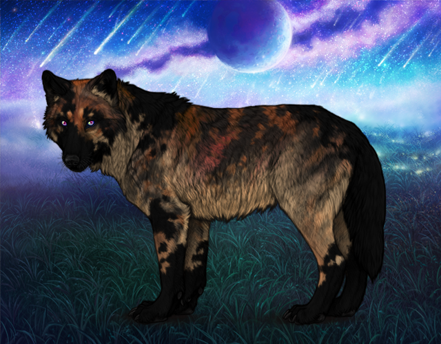 DNB STUD HEIR |:| Wolvden