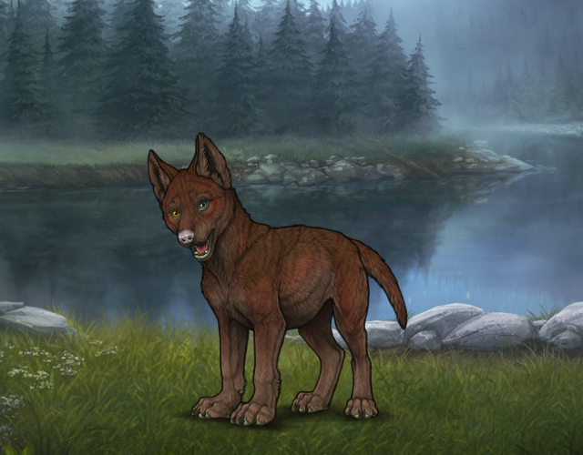 nbw Marble t2 female |:| Wolvden