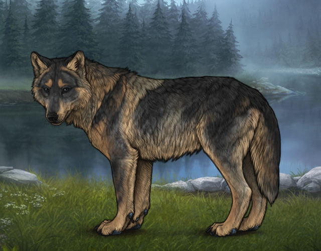 Chased Wolf Spotting - Revamped |:| Wolvden