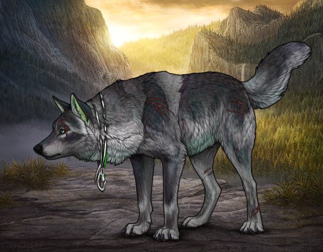 Chased Wolf Spotting - Revamped |:| Wolvden