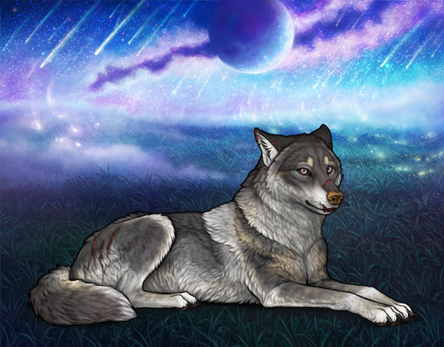 Meredith Quinn [G3] |:| Wolvden