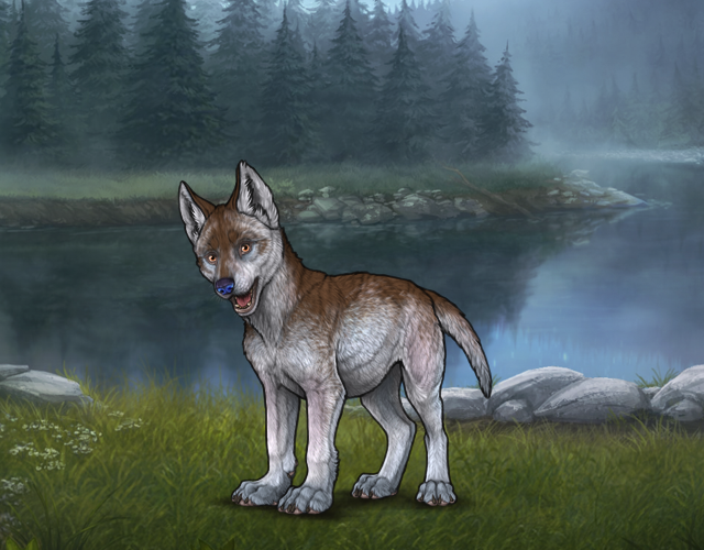 USS Baltimore (CA-68) |:| Wolvden