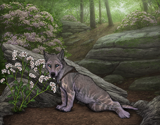 Sirenomelia (Mermaid) |:| Wolvden