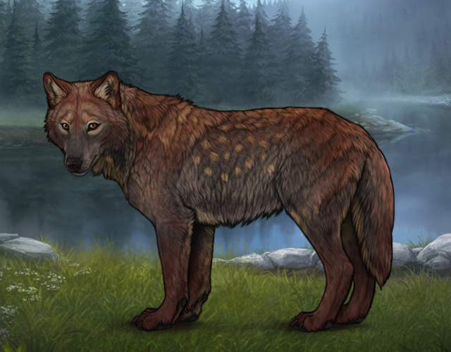 Giveaway |:| Wolvden