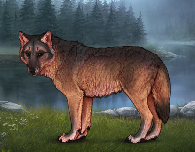 G4 2M Mojave |:| Wolvden