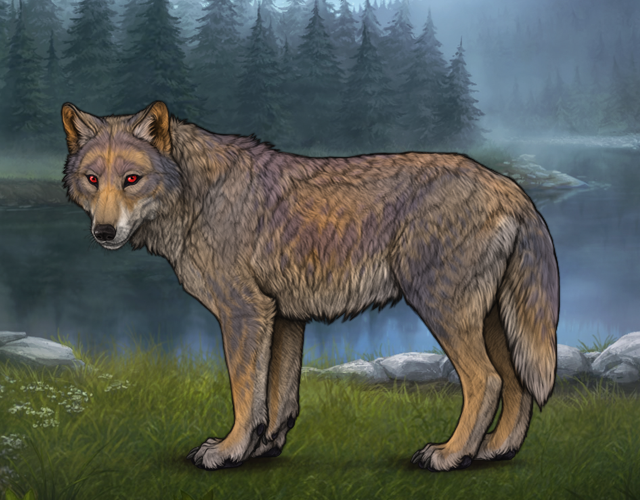 New Runt Puppy |:| Wolvden