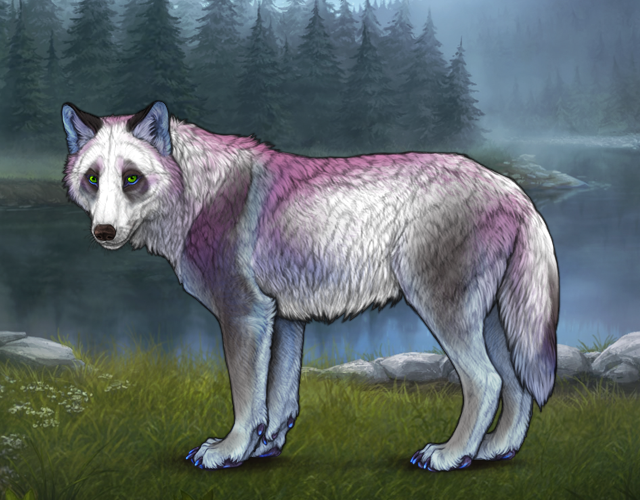 Asin (Scout) |:| Wolvden