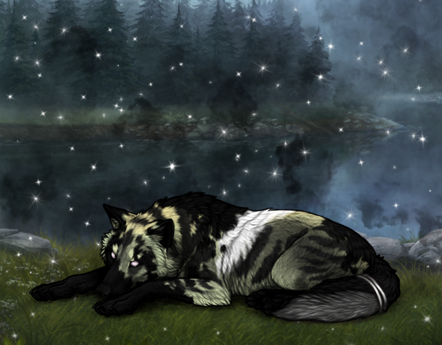 [H] |: Toru Alis :| |:| Wolvden